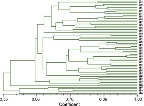 Dendrogram Showing The Clustering Pattern Among 60 Samples Of Turmeric