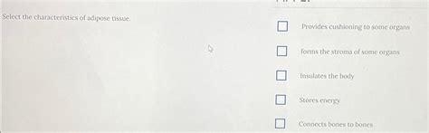 Solved Select The Characteristics Of Adipose Tissue Provides Chegg