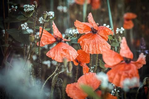 Фотографія Разное Олександр Семен Photographers Ua