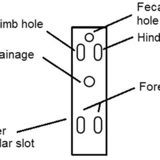 Schematic Diagram Of The Lower Semi Circular Slot Download Scientific Diagram