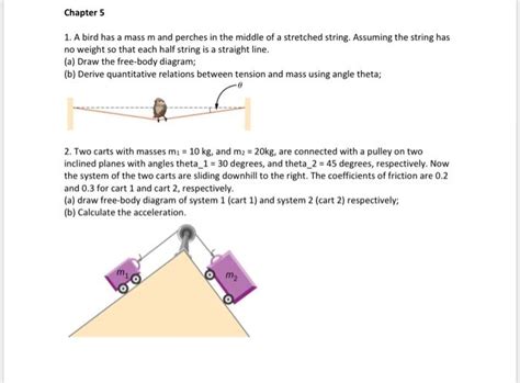 Solved 1 A Bird Has A Mass M And Perches In The Middle Of A
