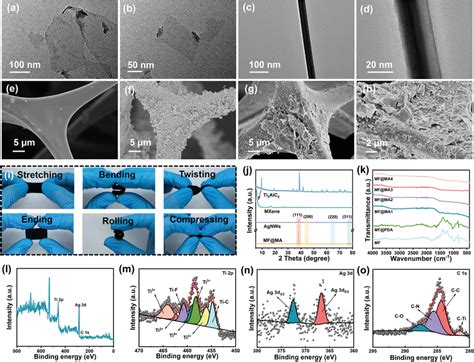 Morphologies And Chemical Structures Of The Composite Foams The Tem