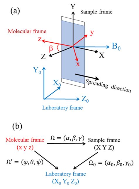 A Definition Of The Molecular Sample And Laboratory Frames B Sets