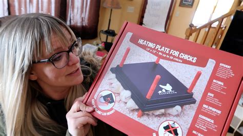 Pros And Cons Of A Chick Brooder Heat Plate A Farmish Kind Of Life