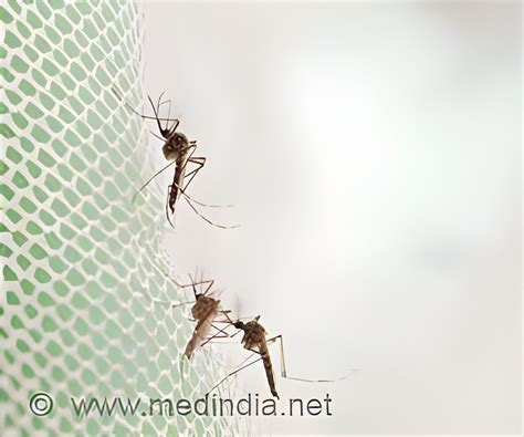 Mapping Malaria Drug Resistance A Genomic Approach For Faster Treatments