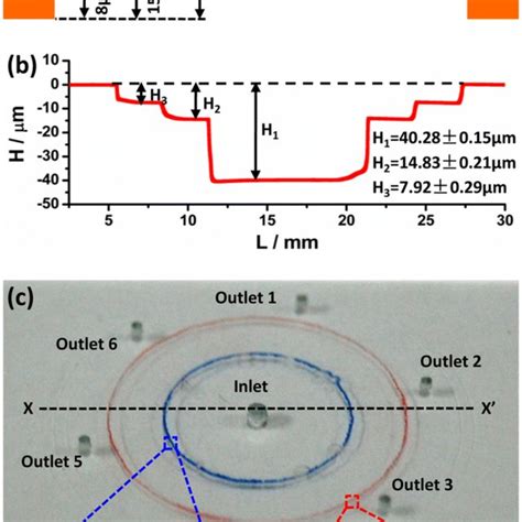 a detailed design of cross section view of the microfluidic device b