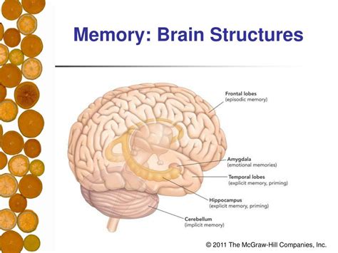 PPT Chapter Memory PowerPoint Presentation Free Download ID