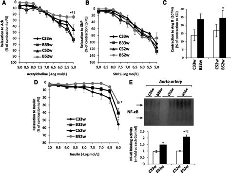 Vascular Reactivity And Nf ␬ B Binding Activity Of Control And Batirko