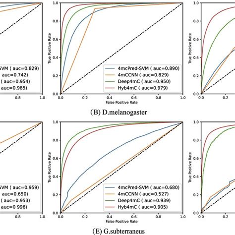 The Sequence Embedding Algorithm Download Scientific Diagram