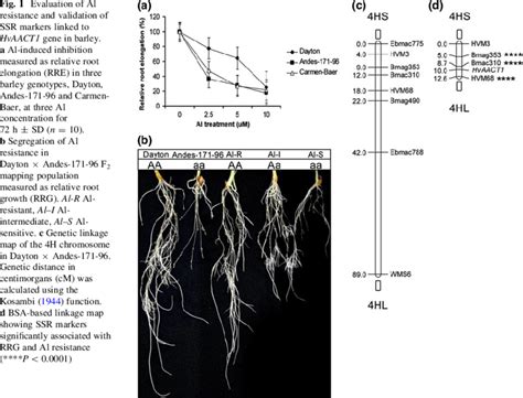 Evaluation Of Al Resistance And Validation Of Ssr Markers Linked To