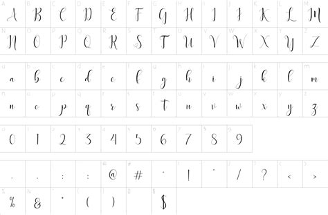 Delight Script Font 1001 Free Fonts