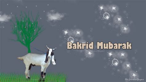 Bakra Eid Wallpapers Wallpaper Cave