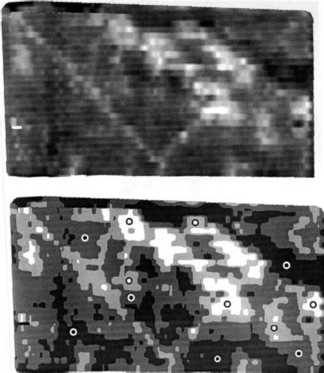 A Gray Scale Electrical Conductivity Map For Field 1 Top And The Same
