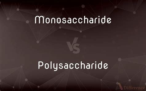 Monosaccharide Vs Polysaccharide Whats The Difference