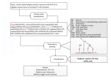 Overview Of Binary Relation Extraction Process Developed In This Work