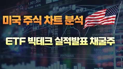 미국주식 0729 미국주식 차트분석 Etf 빅테크 채굴주 Ionq And 이번주 실적발표 Youtube