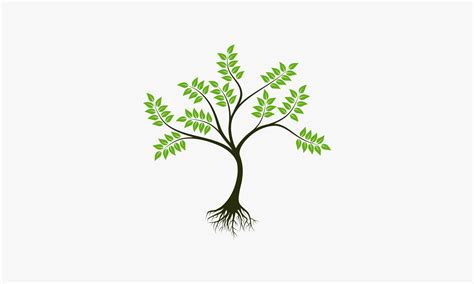Nature Tree Roots Vector Illustration On White Background Creative Icon Vector Art At