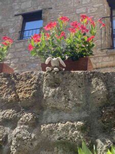 Civita Di Bagnoregio All You Need To Know To Plan A Visit To Italy S