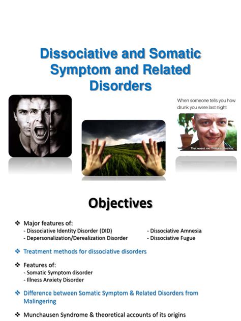 Ch 5 Dissociative And Somatic Symptom And Related Disorders Pdf Dissociation Psychology