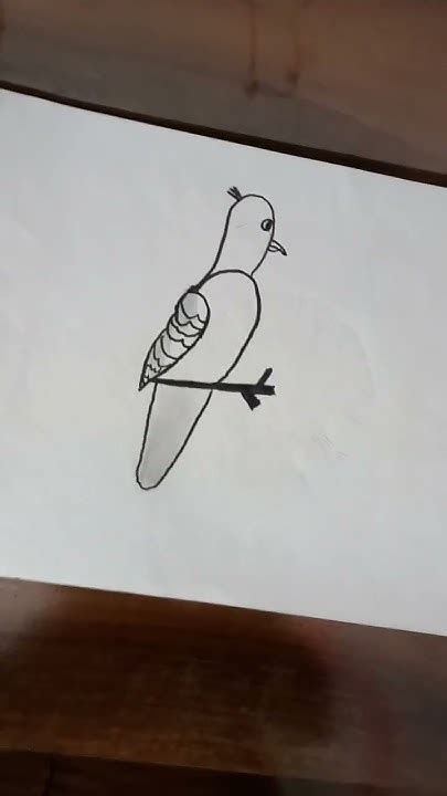 Shorts Art Parrot Youtube