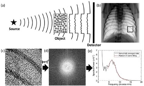 A Illumination Of A Random Phase Object By Partially Coherent Download Scientific Diagram