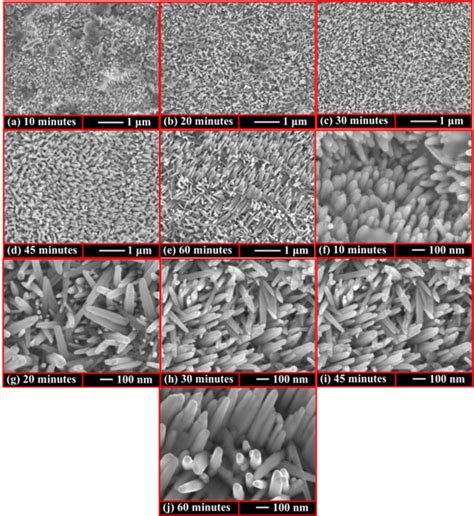Top View Sem Micrographs Of Zno Nanostructures Formed After The 70 °c