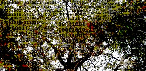 Biologists Guide To Computing