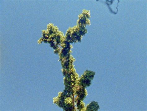 The Secret Garden Sursock Museum