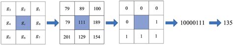 The Basic Lbp Descriptor Lbp81 Download Scientific Diagram