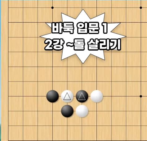 바둑입문1 2강 ~ 돌살리기 네이버 블로그