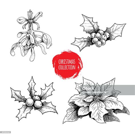 크리스마스 핸드 그린 식물 컬렉션 홀리 열매 포 인 세 티아 미 슬 토입니다 계절 겨울 기호입니다 인사말 카드 및 초대장 장식