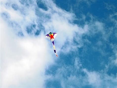 Premium Photo Low Angle View Of Kite Flying Against Sky
