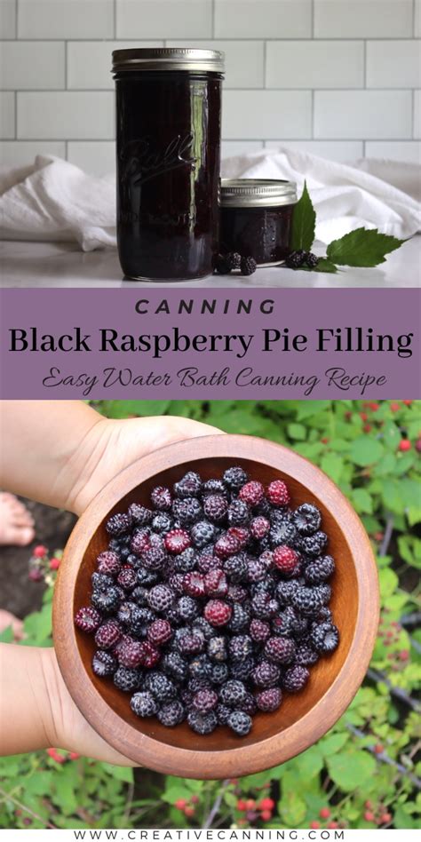 Canning Black Raspberry Pie Filling Creative Canning