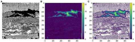 example of euclidean distance transform on an x ray ct image of osb