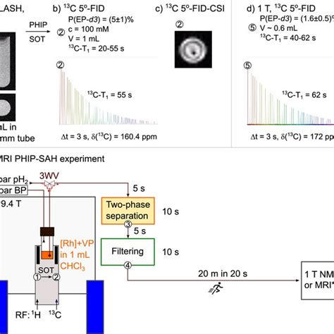 Principle Phip Sah Experiment With 1 ¹³c Vinyl Pyruvate D6
