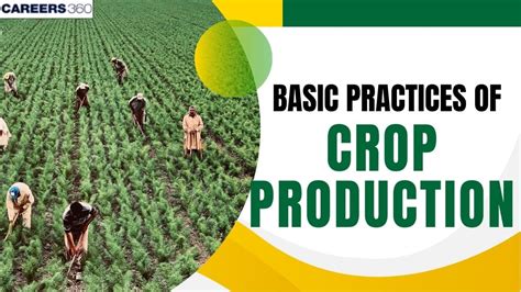 Basic Practices Of Crop Production Process And Techniques