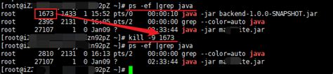 Linux环境Linux系统下如何关闭Java进程 阿里云开发者社区