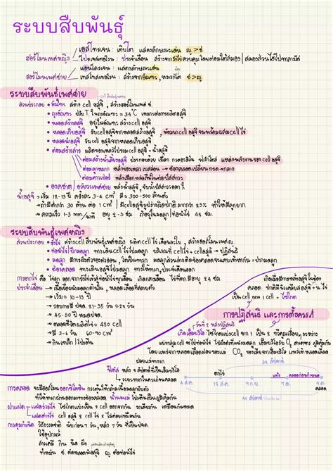 ม 2 โน้ตของ ระบบต่างๆของมนุษย์ ชั้น Clearnote วิธีการสอน ระบบสืบพันธุ์ ระบบร่างกายมนุษย์