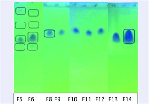 Thin Layer Chromatogram Of Ethanolic Fractions Download Scientific Diagram