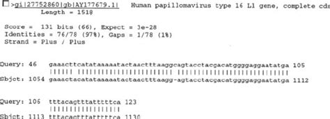 Results Of Analysis Of Hpv 16 By Ncbi Blast Program Download Scientific Diagram