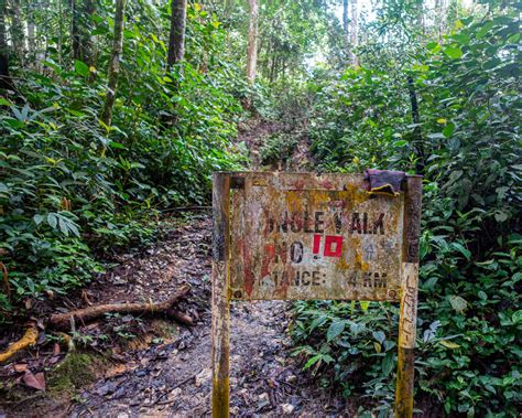 Hiking The Cameron Highlands Trail 10 All You Need To Know