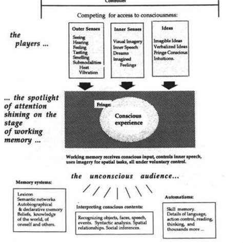Quantum Chaos The Classical Stadium Billiards Is Chaotic A Given Download Scientific Diagram