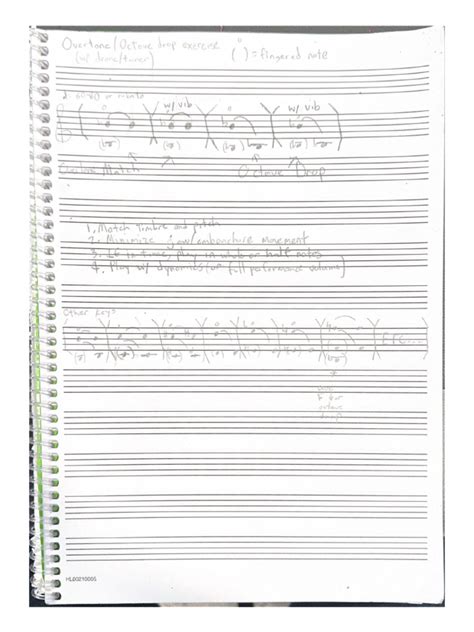 overtone octave drop pdf