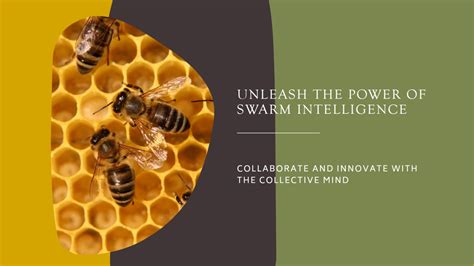 Leverage Swarm Intelligence For Improved Decision Making And Innovation