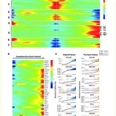 Single Cell Rna Sequencing Analysis Across All Time Points Mapping The