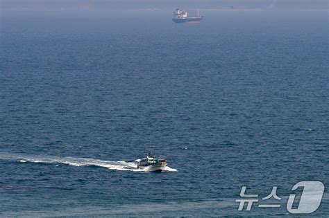 만선의 꿈을 싣고 뉴스1