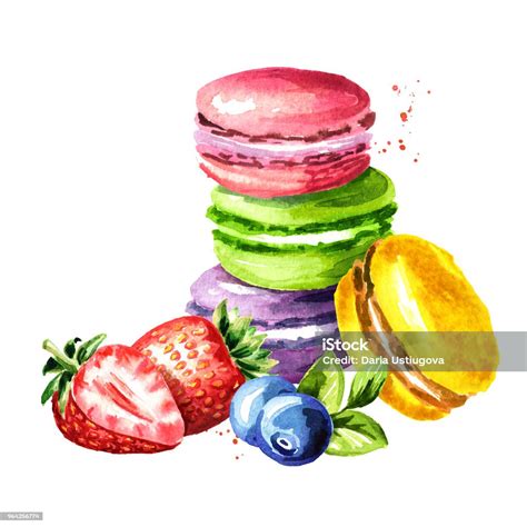 전통적인 프랑스 케이크 마카롱 또는 마 카 롱 블루베리와 딸기와 함께 화려한 아몬드 쿠키 흰색 배경에 고립 수채화 손으로 그린 그림 0명에 대한 스톡 벡터 아트 및 기타