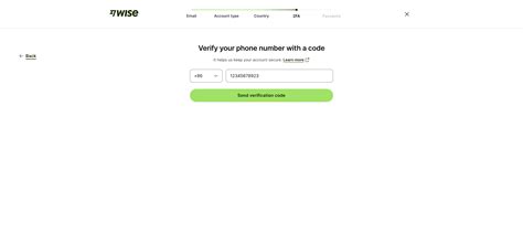 通过wise拥有一个美国checking账号和虚拟Debit card 一个设计师