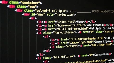 Choosing the Right Programming Language for Your Project - Rapidlox