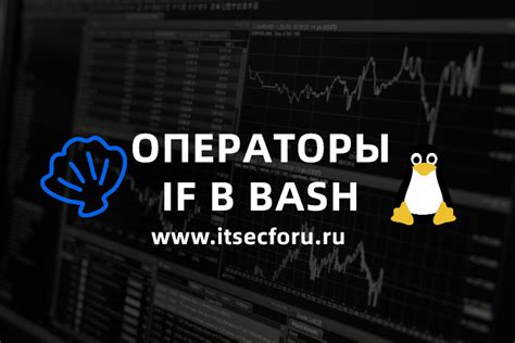 🐧 Операторы Bash If If Elif Else Then Fi